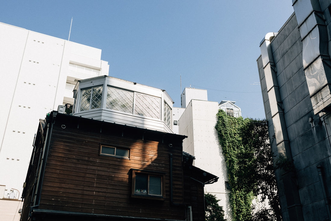 Latest Styles and Quiet Luxury: How to Find the Perfect Dress – BlackTreeX